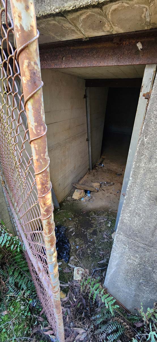 Mt Ritchie Dugout Acheron Way Circuit (35km) - Yarra Ranges National Park, VIC